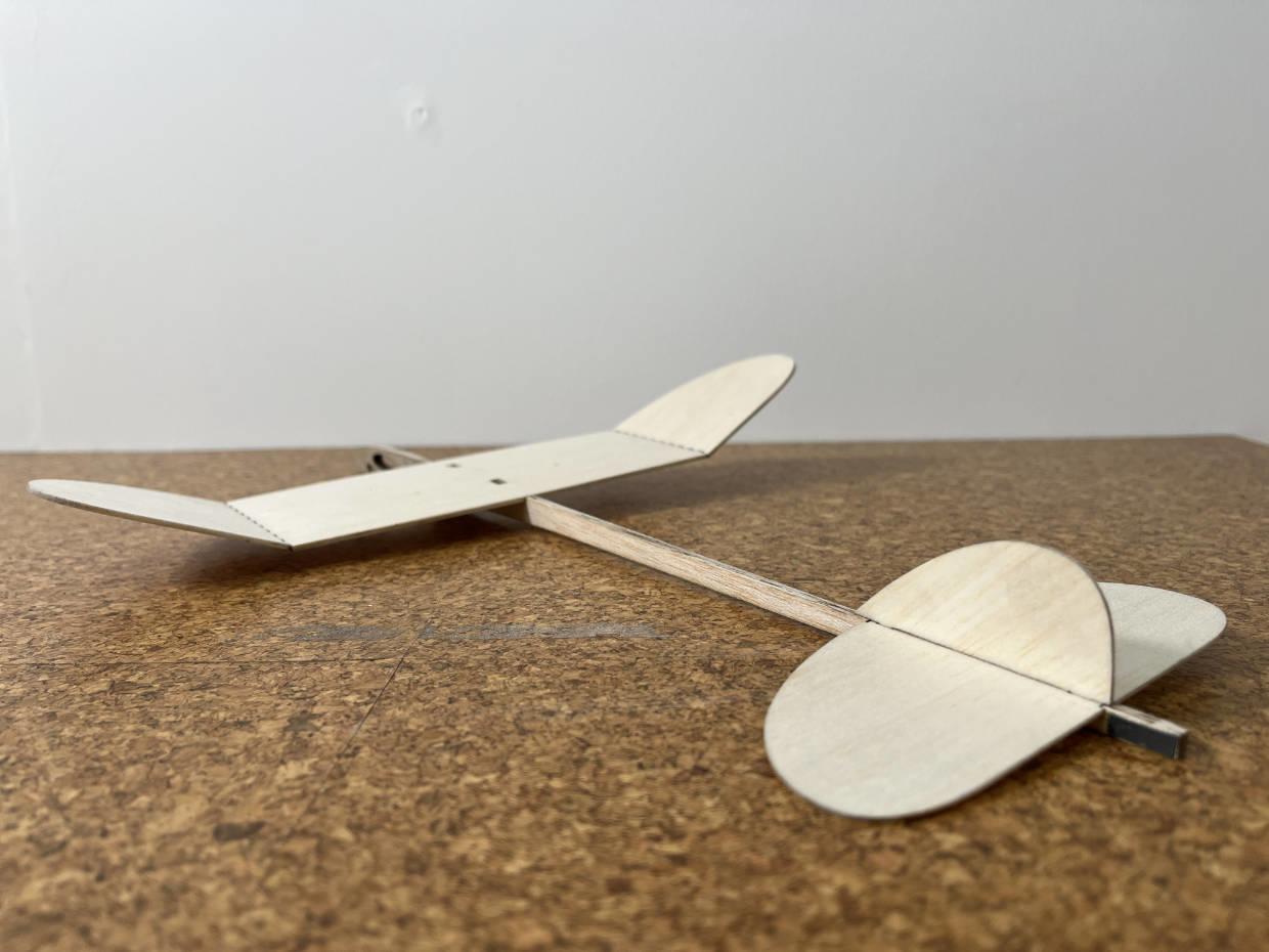 SIMPLE FREE FLIGHT MODELS